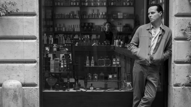 Ripley (2024) – Nếu bạn cần thứ gì đó thật đẹp để nghiền ngẫm – The ...